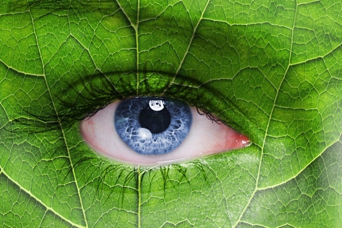 Les SVT en POSTERS ! | Lycée Jean Rostand Caen